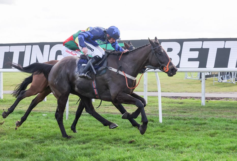'I just need to win the Plate now!' - Eider joy for local lad Brian ...