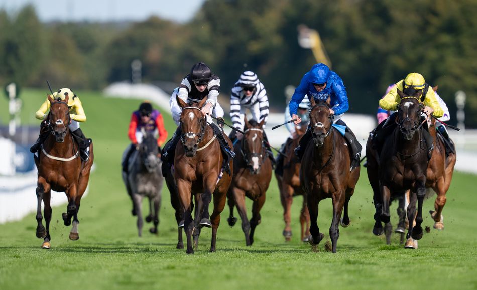 33-1 Naqeeb gives Julie Camacho her highest-level win in more than two ...