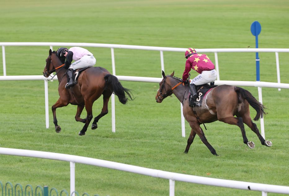 Race-fit French Dynamite beats Minella Indo and Hewick in Punchestown ...
