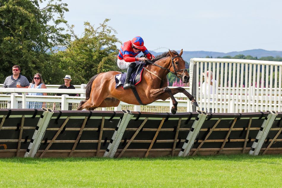 Ger Quinn enjoys 25-1 double while Gordon Elliott helps himself to a ...