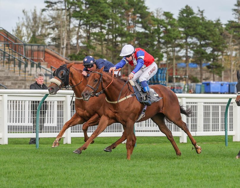 'I think they've made the right decision' - Sassoon picks up dramatic ...