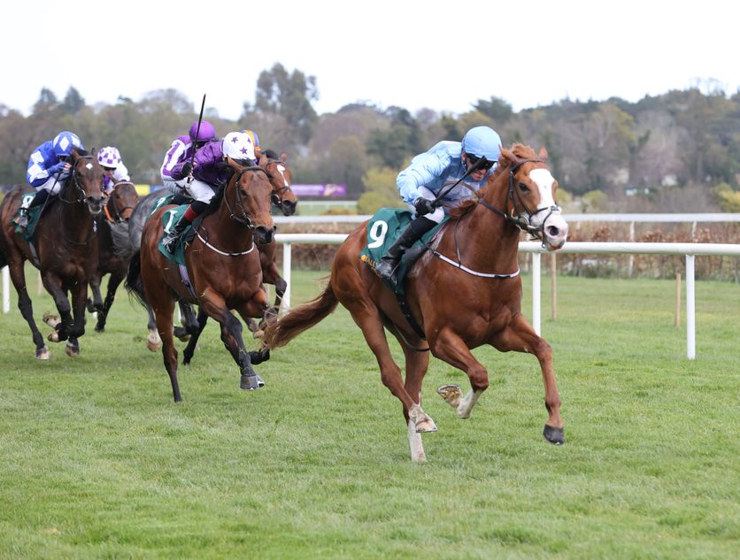 Fozzy Stack facing tricky Royal Ascot decision with stable star: take ...