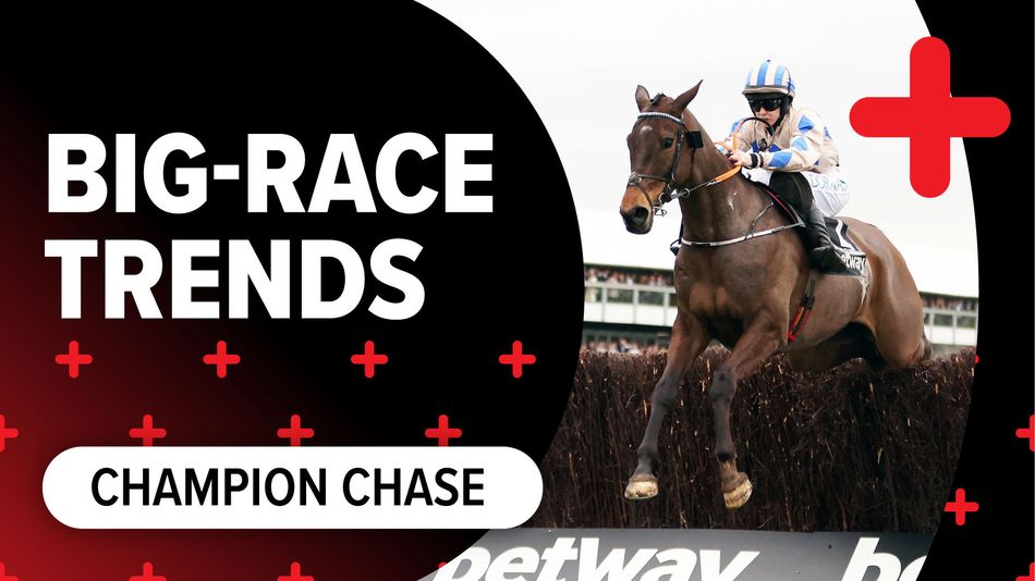 Big-race trends: key stats to help you find the winner of the Champion ...