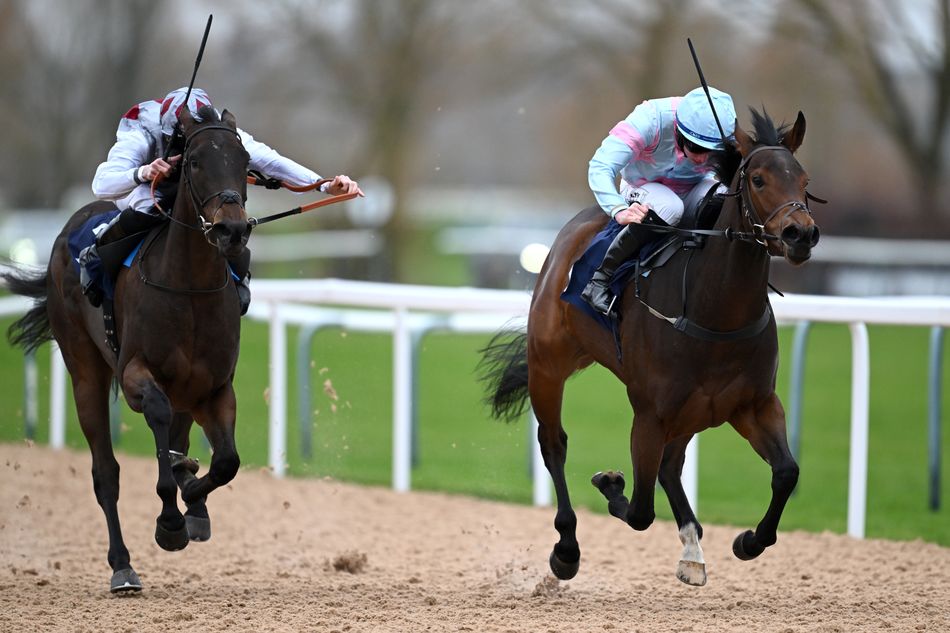 Stuart Williams plotting first Breeders' Cup runner with improving ...