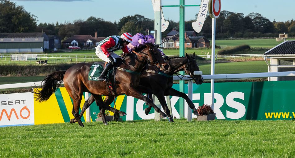 'What a straightforward animal' - James Best enjoys first course ...