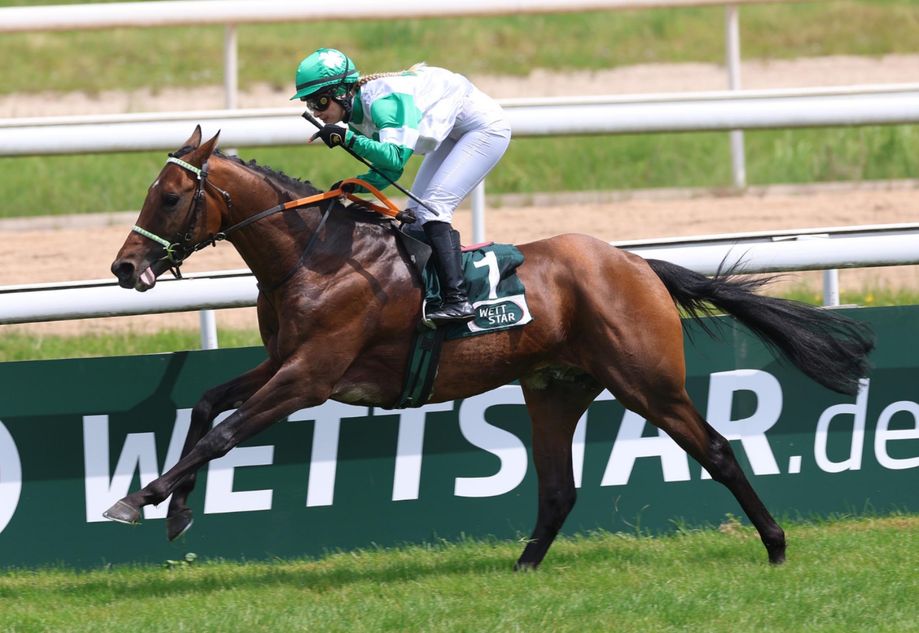 Femboy malaga super sexy, super nice, all-around fantastic.