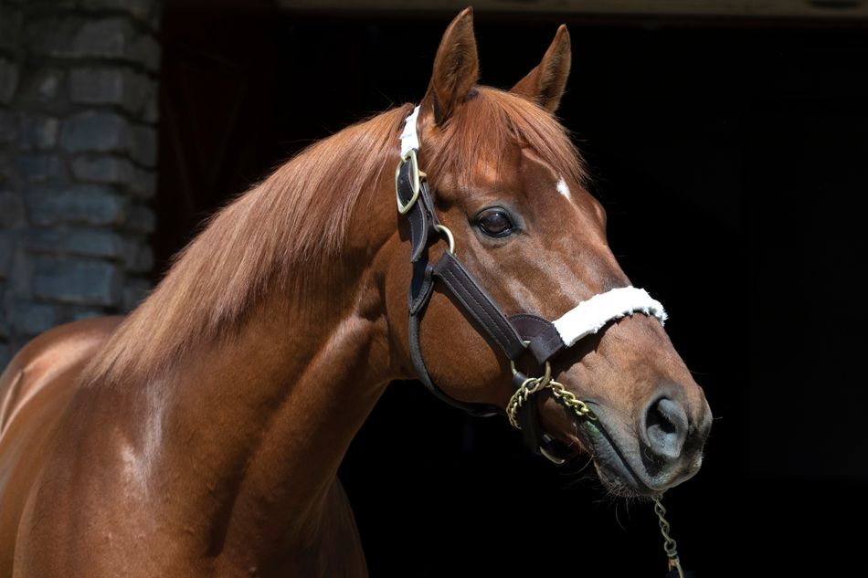 Gun Runner tops Three Chimneys 2025 roster at $250,000 | Racing Post
