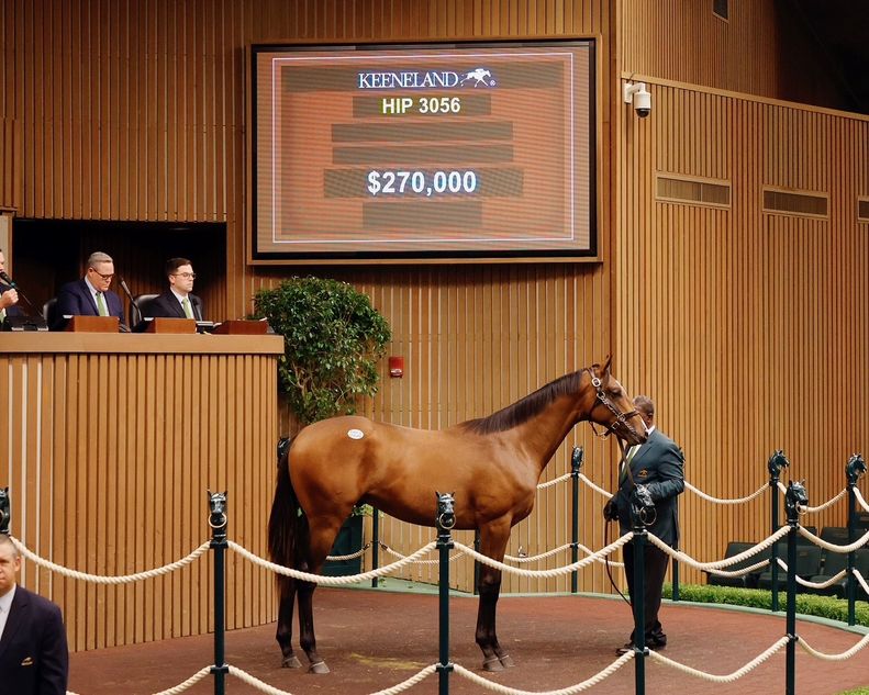 Midshipman colt bound for Wesley Ward after leading Keeneland's ...