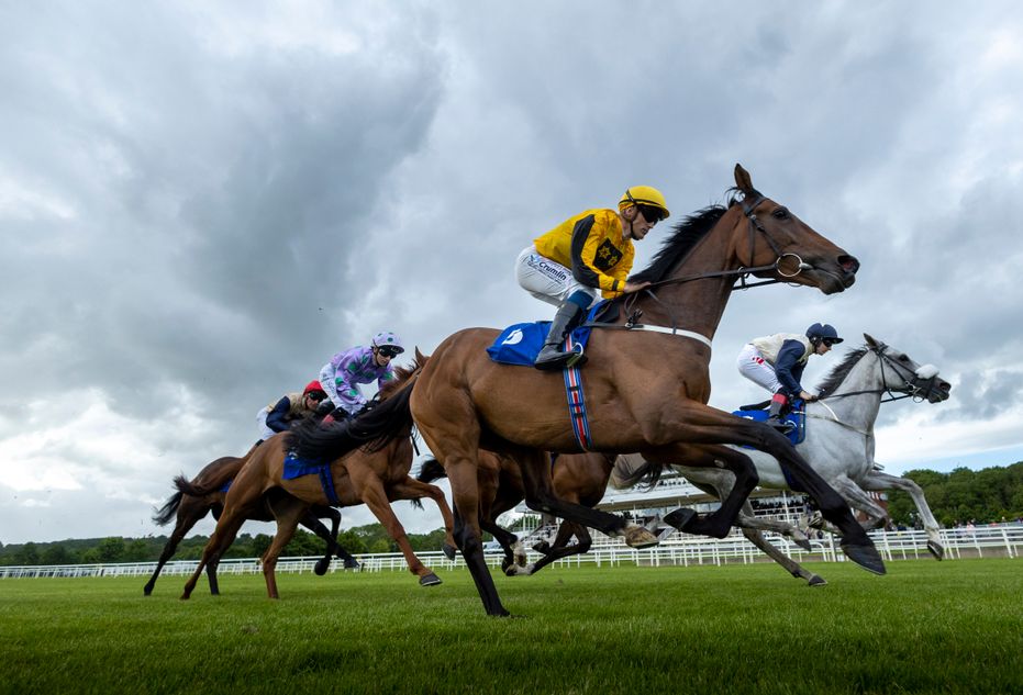 Darley steps in to support black-type races for fillies with increased ...