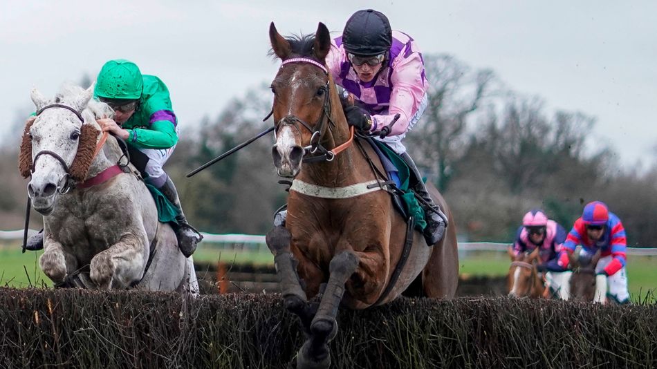 'He's thrown in' - expert analysis and trainer quotes for stiff test of ...