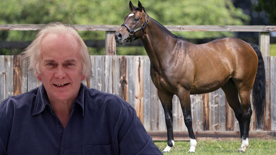 'His tally of 30 successes is reminiscent of the dominance of his sire ...