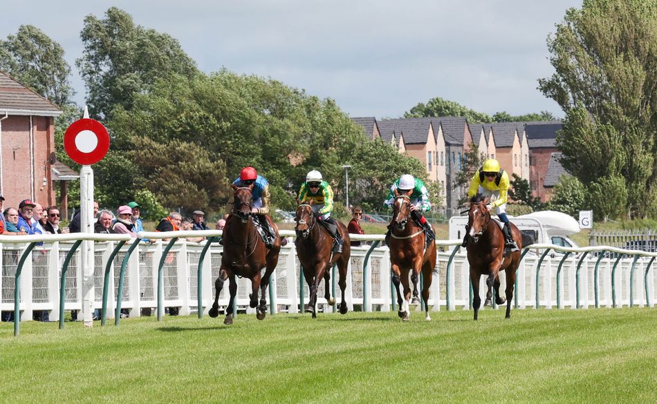'Hopefully he can be a Commonwealth Cup horse next year' - Archie ...