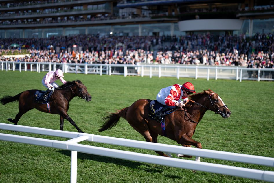 'Tough week' ends with Listed success and a treble for champion jockey ...