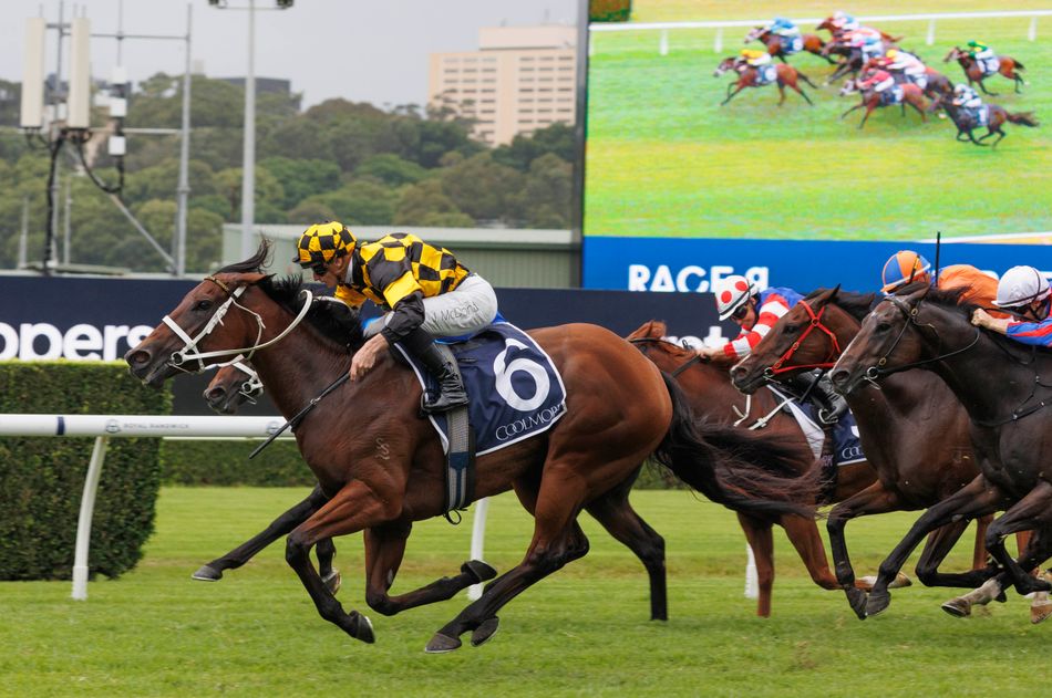 Royal Ascot here we come! Australian sprinter Joliestar tees up trip to ...