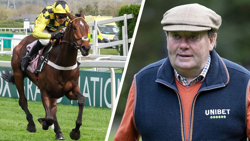 Nicky Henderson announces Arkle favourite Sir Gino to miss rest of the ...