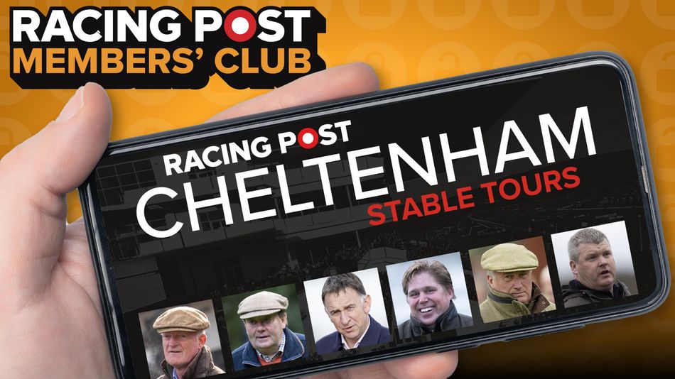 Cheltenham Stable Tours have arrived - now's the time to get set for ...
