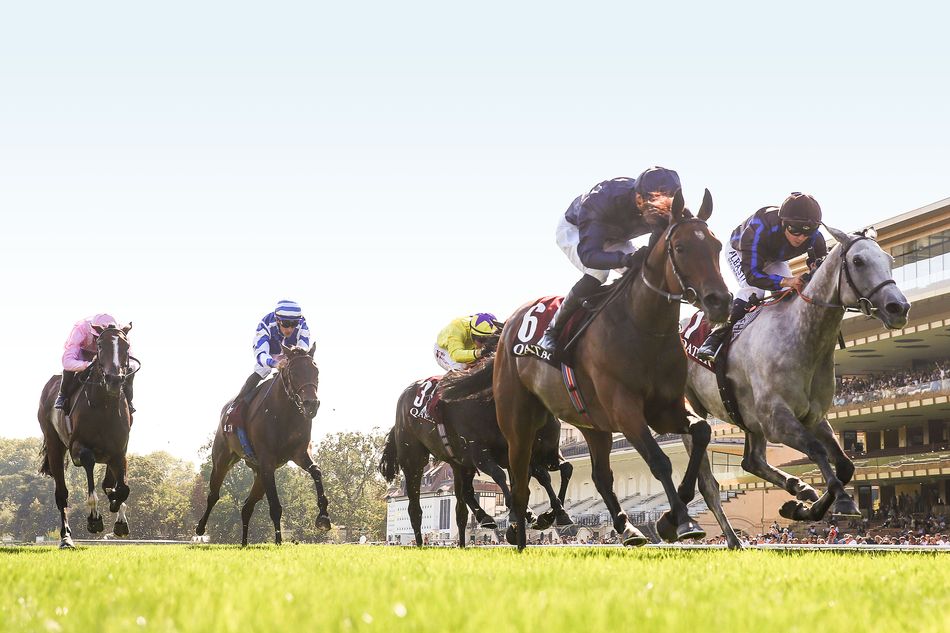 'She could hardly have been more impressive' - Wathnan Racing swoop for ...