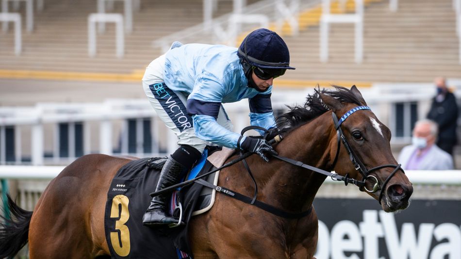 1,000 Guineas winner Cachet dies in Japan | Racing Post