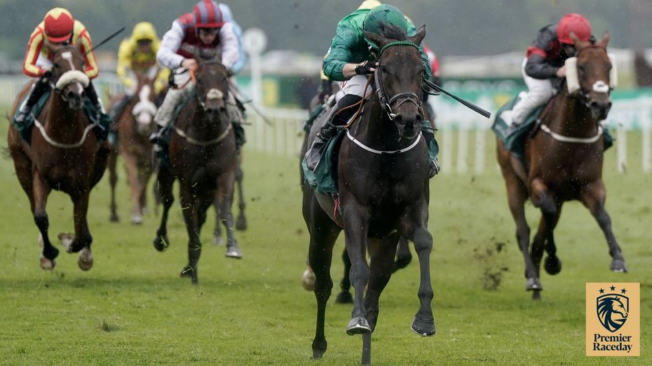 1,000 Guineas clues on offer as Gosdens clash with speedy Relief Rally ...