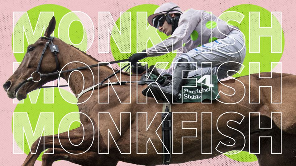 'He should be in the mix' - jumps star Monkfish makes his return from ...