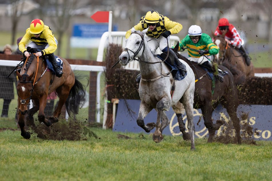 Naas: Thedevilscoachman awarded Grade 3 novice after lengthy stewards ...