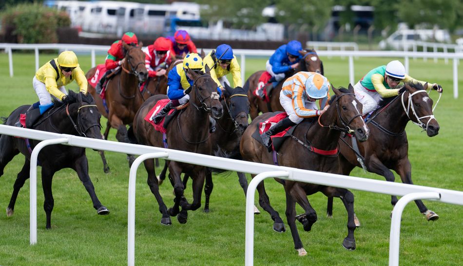 Why this horse can win at Sandown, Beverley and Chester | Racing Post