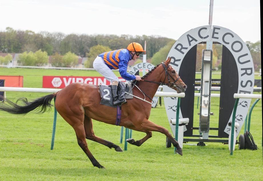 'Mission accomplished' - Charlie Johnston thrilled as Hey Lyla lands ...