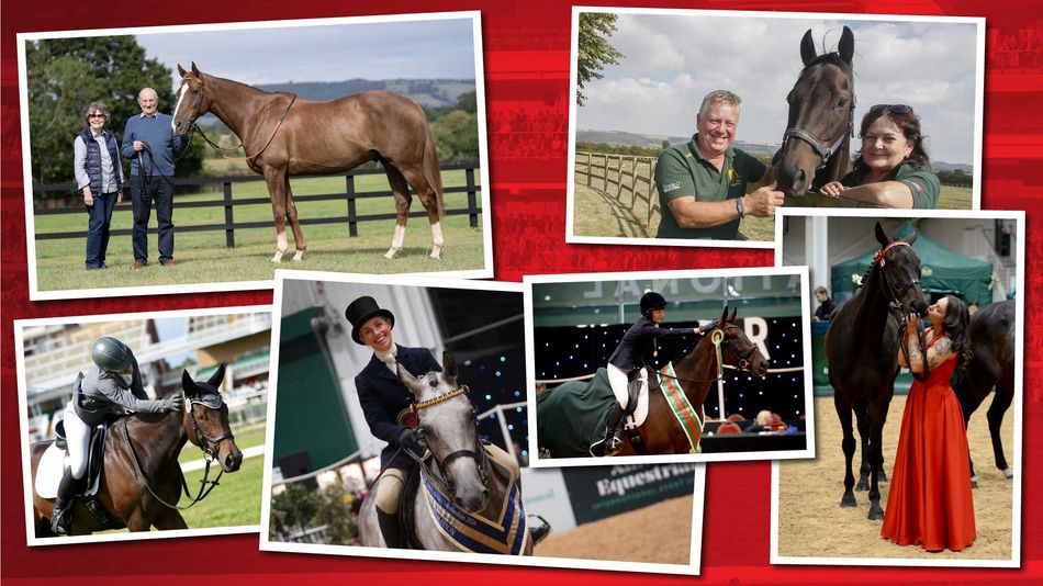 'It's not just the social licence, it's morally the right thing to do ...