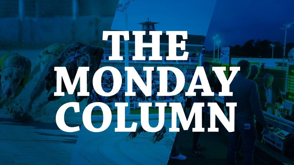 A year to celebrate rich heritage this sport possesses | Racing Post