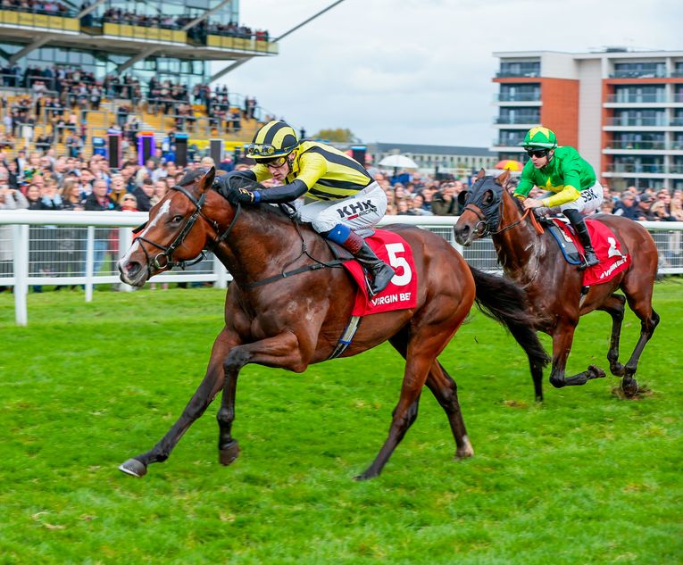 Classic hope Knight heading into battle at Craven meeting for Crisfords ...