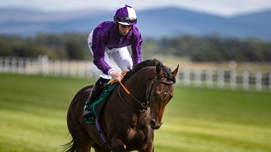 'We’ve got to find out if he’s still got that spark' - Go Bears Go ...