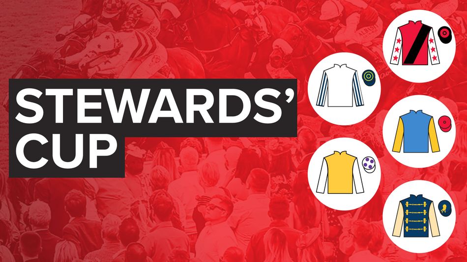 'If he gets some luck he should go close' - trainers on their runners ...