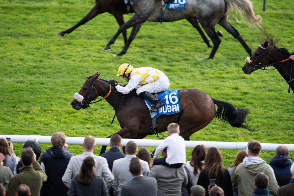 Irish raider Alphonse Le Grande prevails in photo-finish to claim ...