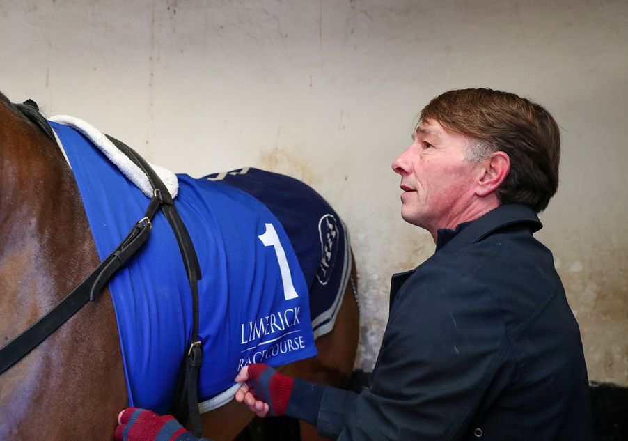 Limerick seeking fourth manager in just over two years after Rudd ...