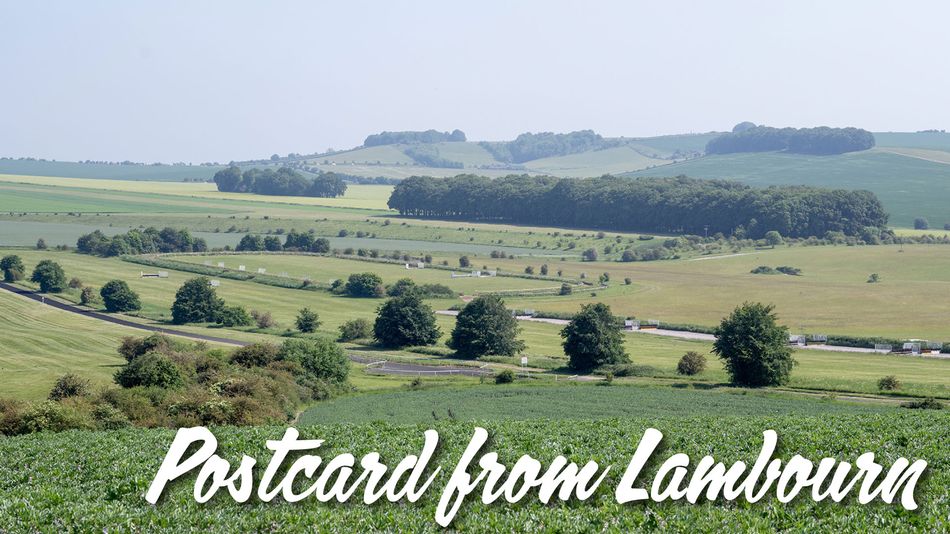 Leila sohna leak fresh, above average height, all natural,