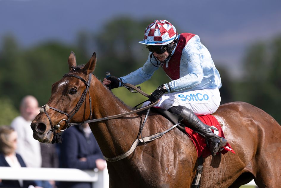 'It's quite a big one to win' - patience rewarded as Pont Aval stays on ...