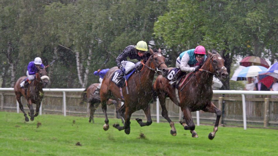 Frankel debut memories: 'I said he might be special - he was incredible ...