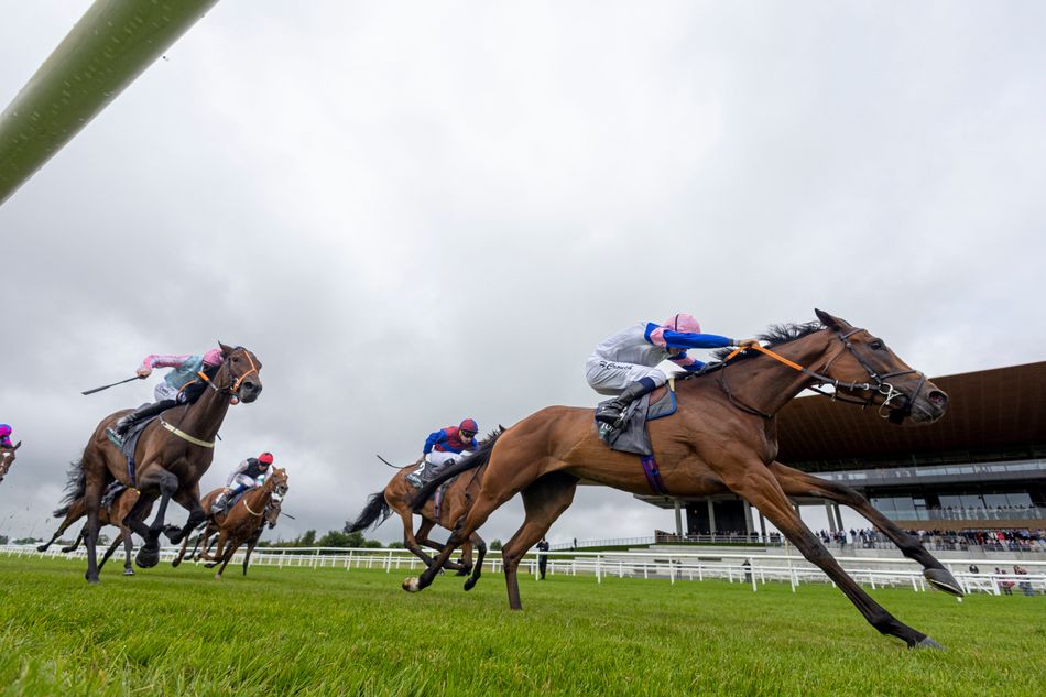 You Got To Me lands big gamble in Irish Oaks for Ralph Beckett | Racing ...