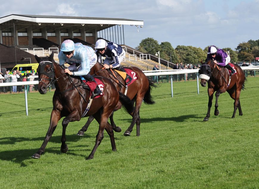 'We're doing really well' - Global Skies another winner for red-hot Ben ...