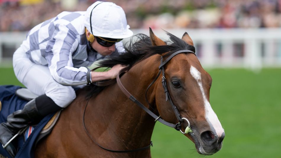 Broome set for new career as a stallion in Turkey | Racing Post