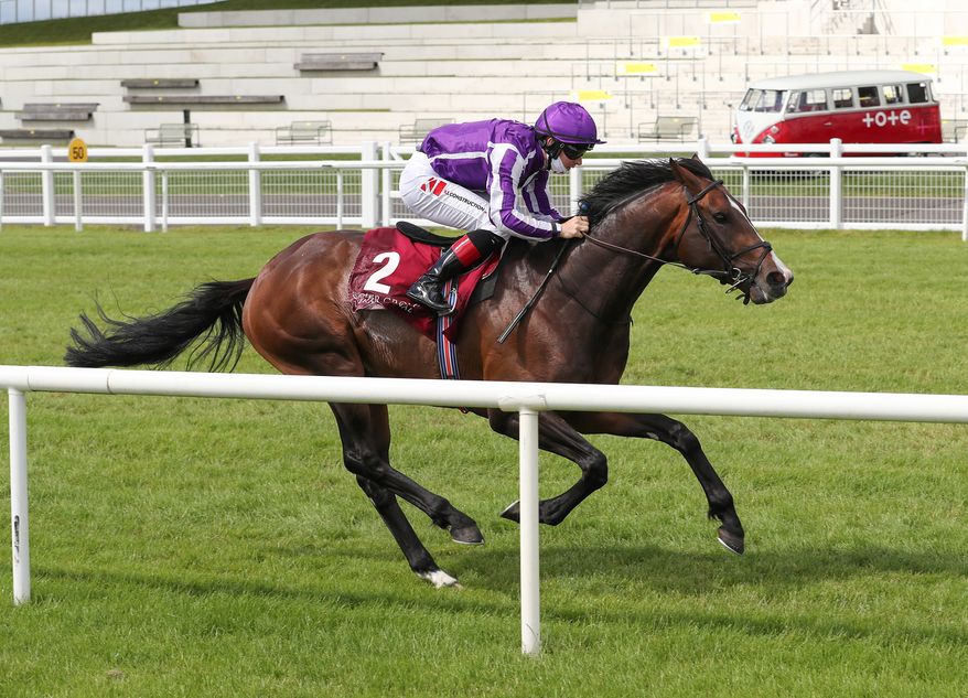 First foal on the ground for Knockhouse Stud's blue-blooded Amhran Na ...