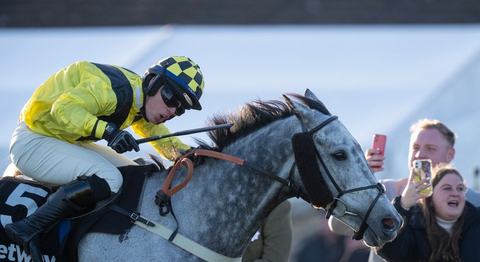 Can the Tizzard team continue good record with classy topweight Elixir De Nutz? | Racing Post