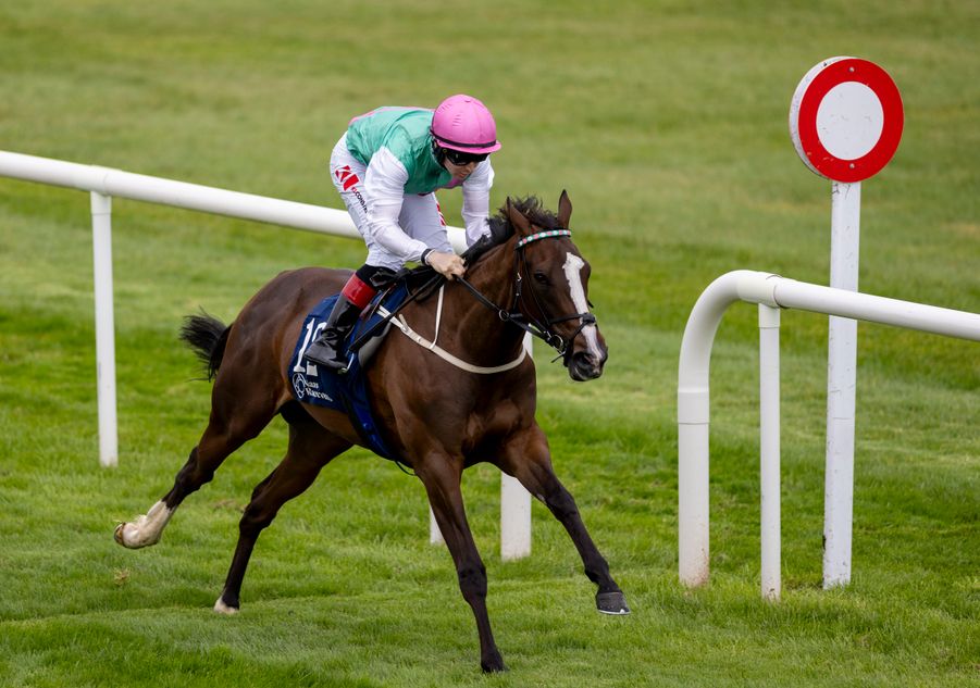 Runaway Naas winner Revoke set for big test on first foray into Listed ...