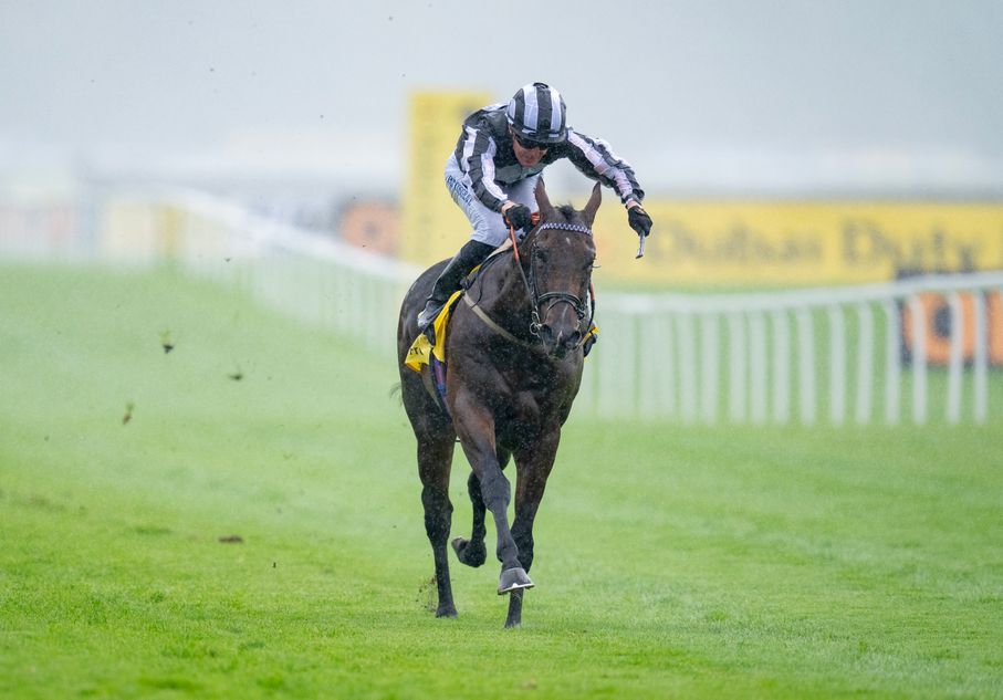 'We've strived to have a horse like him for a long time' - Jim Boyle ...