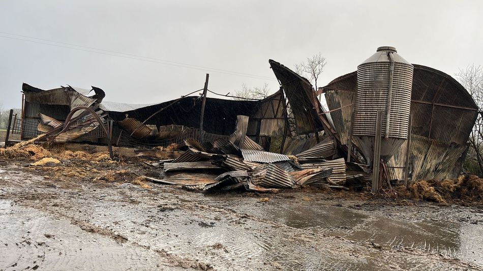 Narrow escape for Rathasker Stud broodmares after suspected arson ...