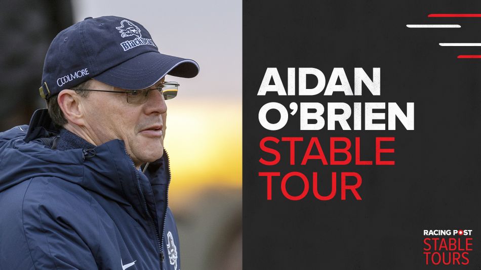 Aidan O'Brien: 'He's definitely one to watch, you won't go too far ...