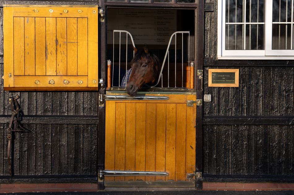 Another milestone for the great Dubawi with the 200 individual Group ...