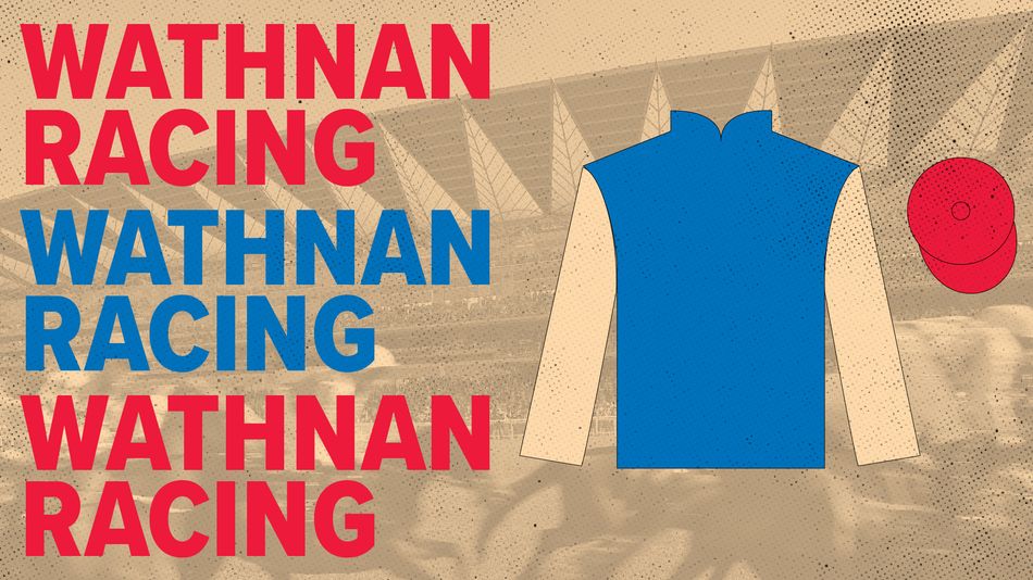 From five big winners at Royal Ascot to a 66-1 Dubai World Cup success ...