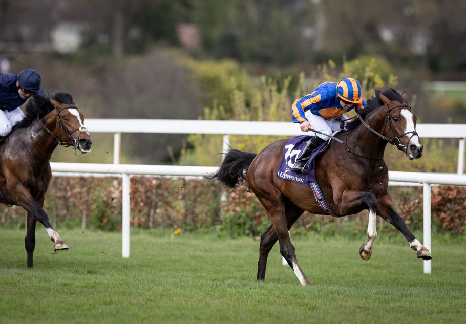 Gasper De Lemos and The Equator step up in distance as Aidan O'Brien ...