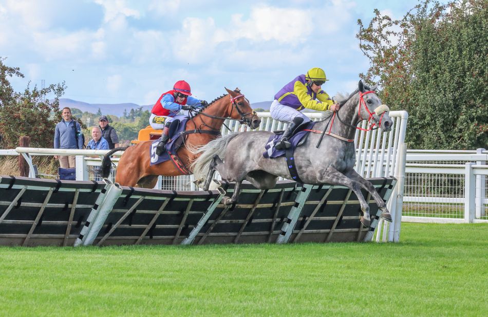 'He's turned into a smashing horse' - The Last Cloud completes hat ...
